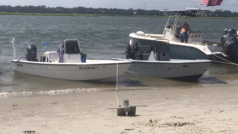 Our Gallery – Mi Tide