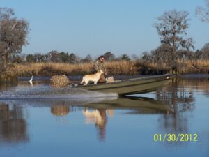 Our Gallery – Mi Tide